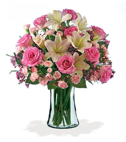 Pink Celebration Bouquet | Blooms Today