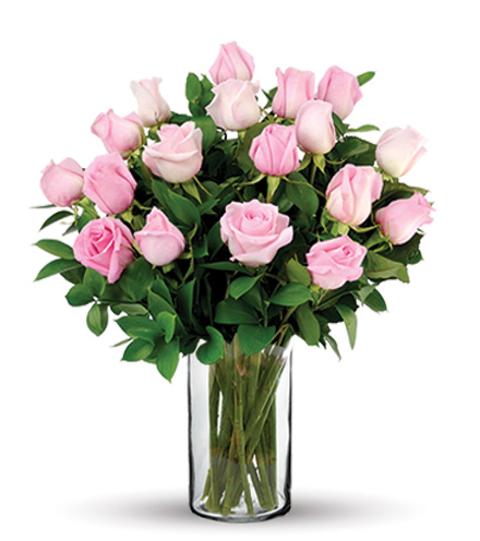 12 Pink Long-Stem Roses Bouquet | Blooms Today